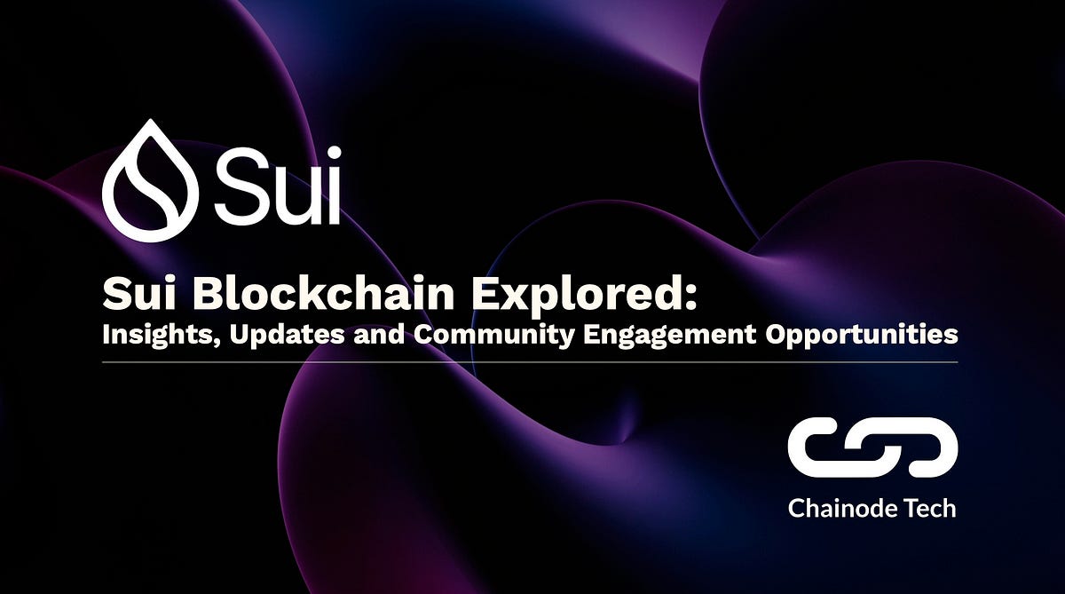 Sui Blockchain Explored: Insights, Updates and Perspectives from a ...