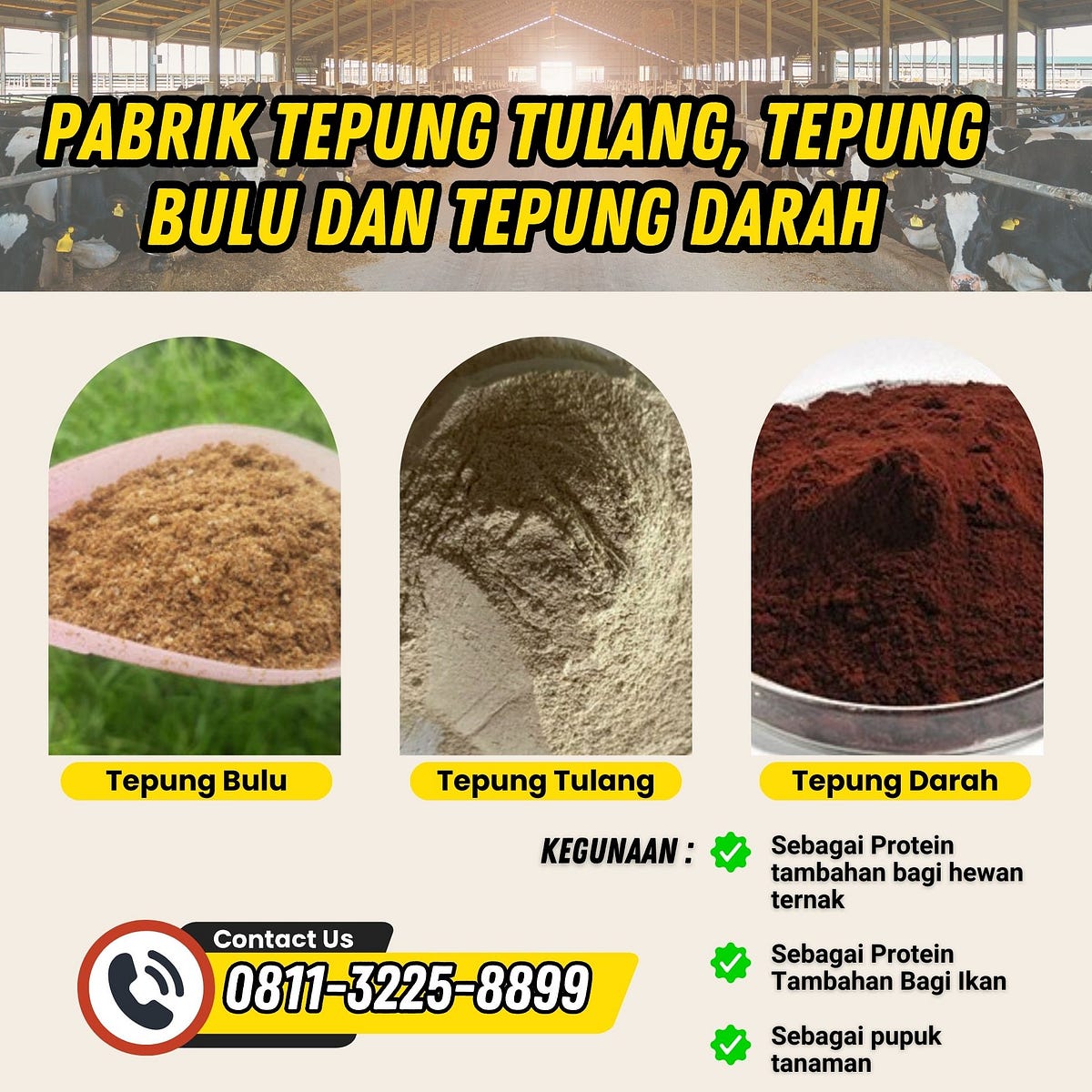 BERKUALITAS!! 0811–3225–8899, Pabrik Tepung Tulang Di Asahan, Pabrik ...