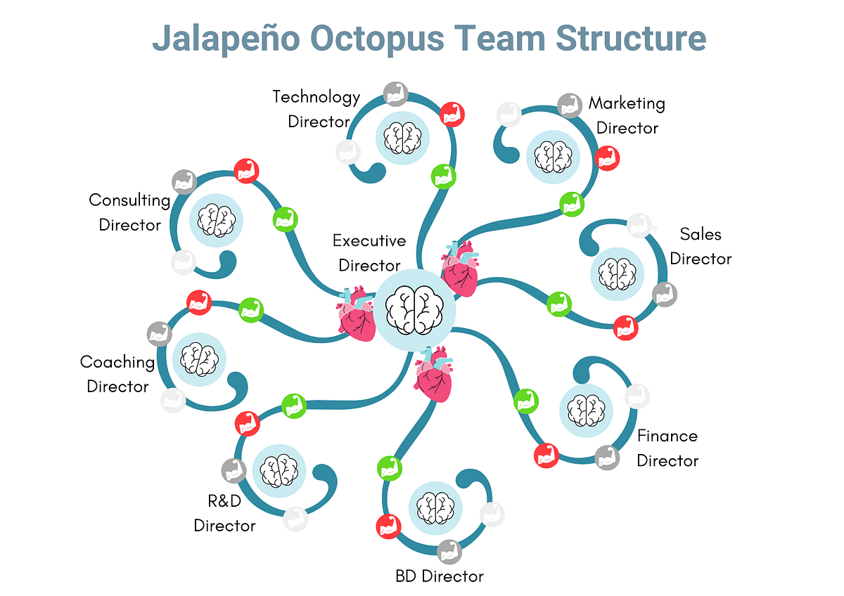 How an Octopus Became One of Our Secret Sauces to Adapt & Grow? | by ...