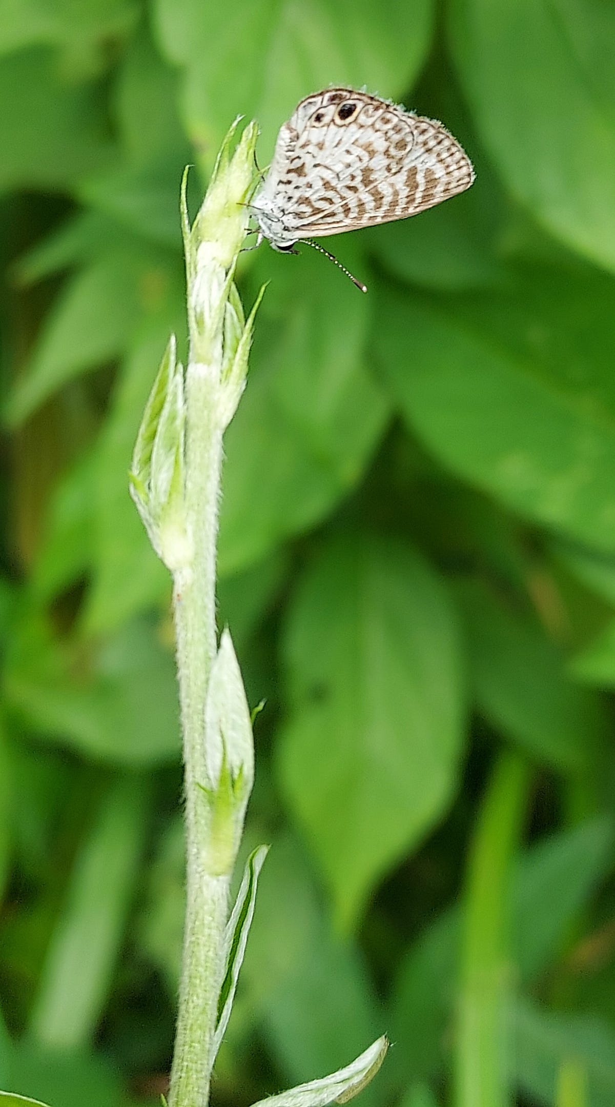 Valuable Lessons Life Taught Me. You might not get the life you want ...