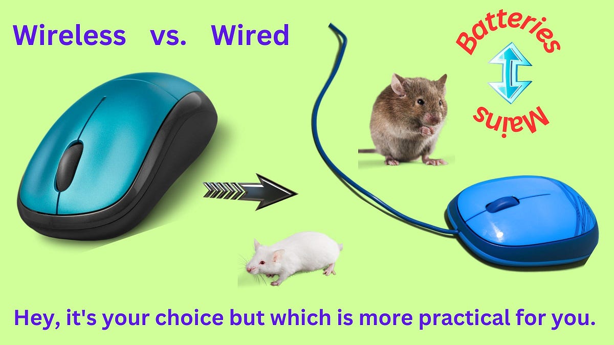 What You Need to Know About The Practical Use Of Your Mouse | by ...
