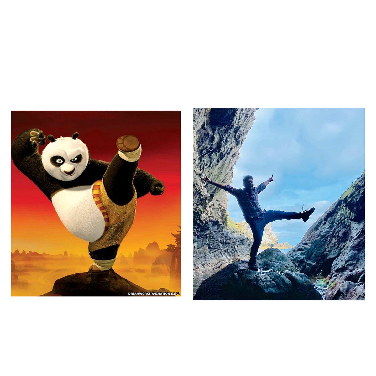 Lessons learned from Kung Fu Panda | by Ashraful Alam 🐼 | Medium