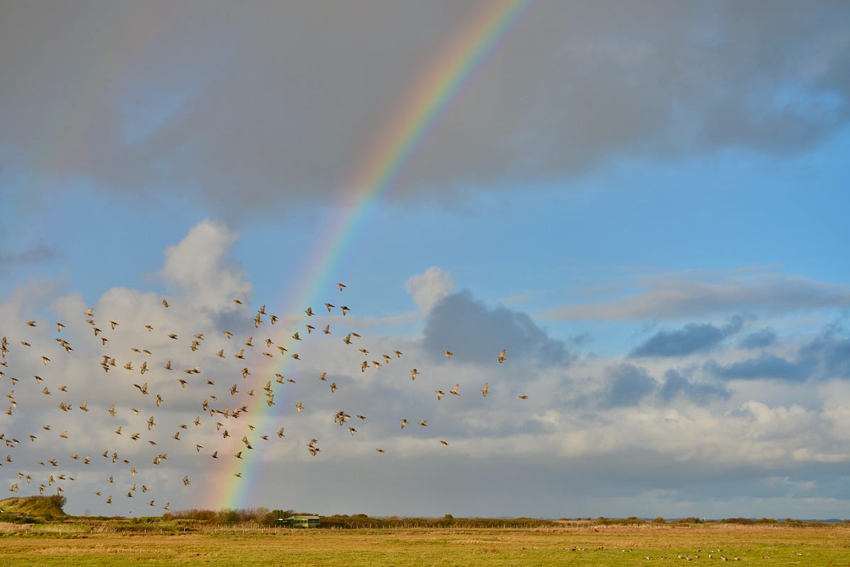What is Your Favorite Weather?. I believe that rain is the best weather ...