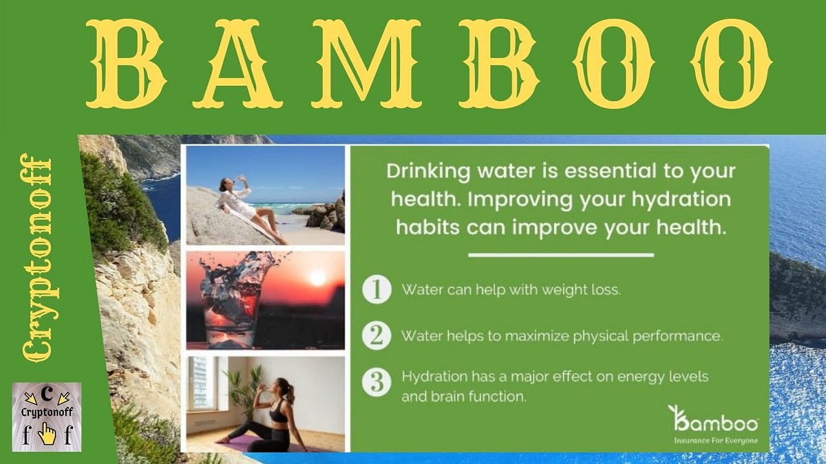 BAMBOO is a Unique System of Health Improvement and Longevity | by ...