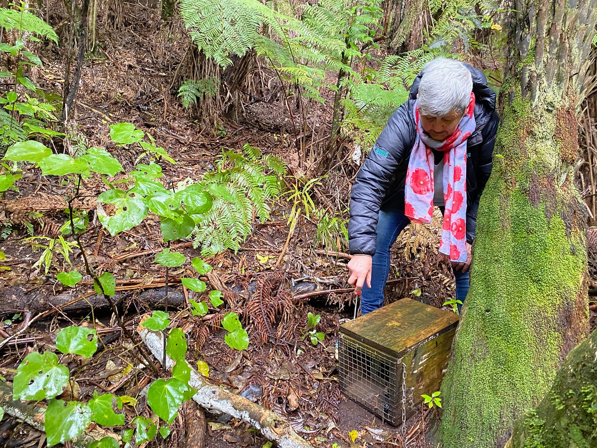 Voices of the Kaiwharawhara: Jim Tait & Kathy Ombler | by Janel Hull ...