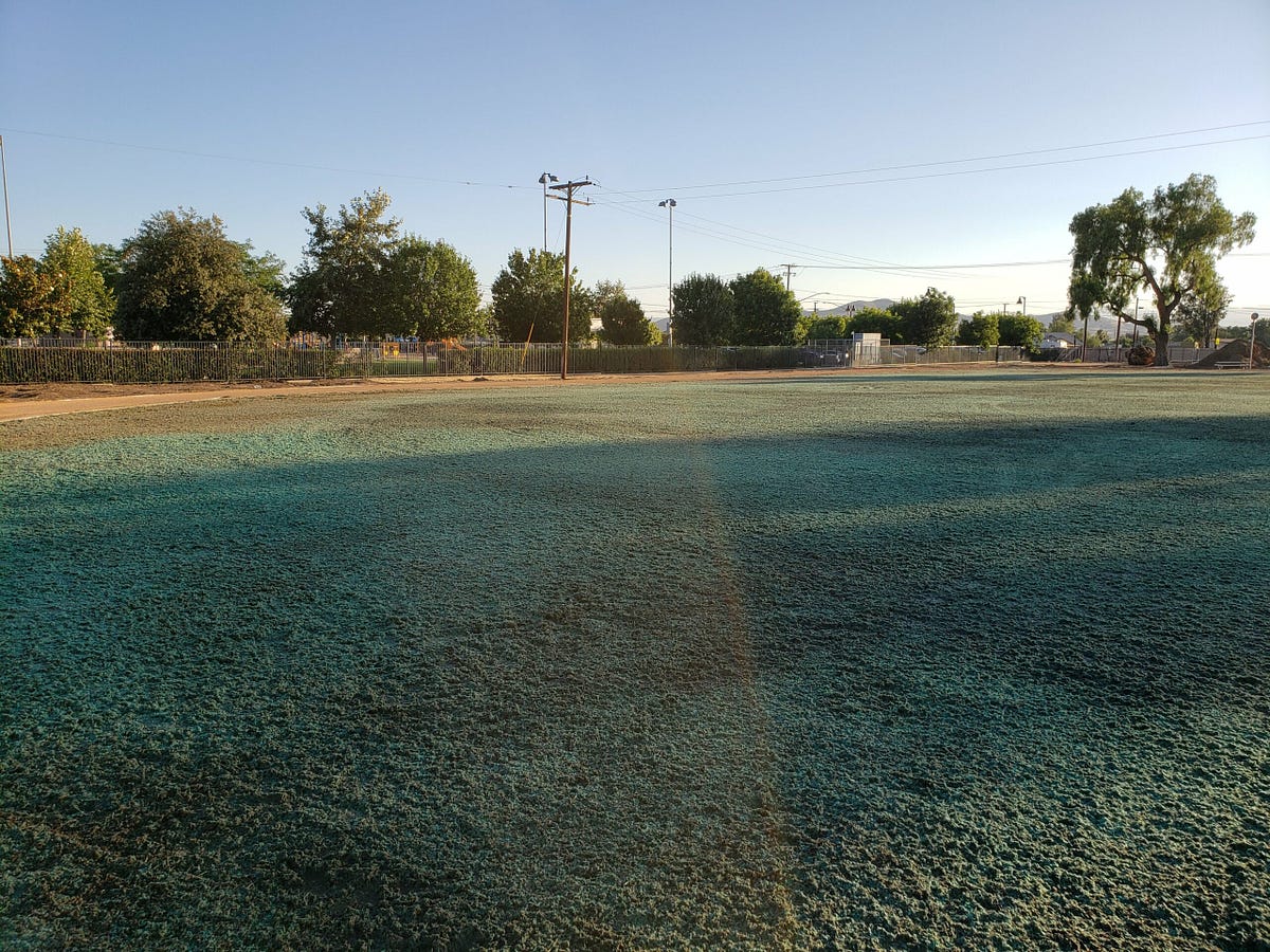 Residential & Commercial Hydroseeding Services Mentone - Advanced ...