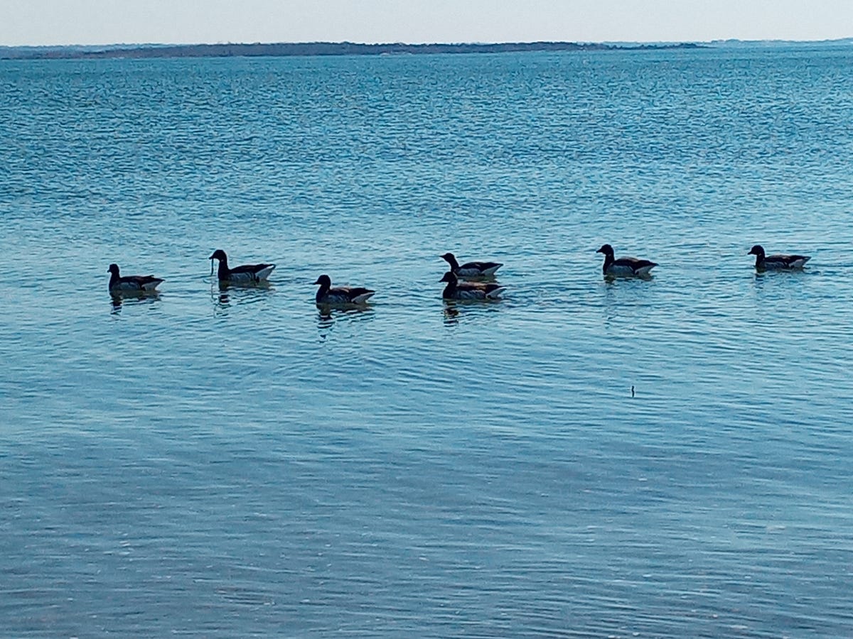 Unraveling Identity. The Fluidity of Self-perception and How… | by ...