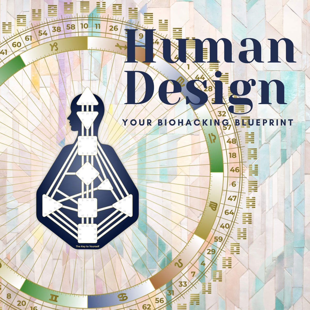 BIOHACKING & Human Design, a full explanation. | by Ann Ree Ray | Oct ...