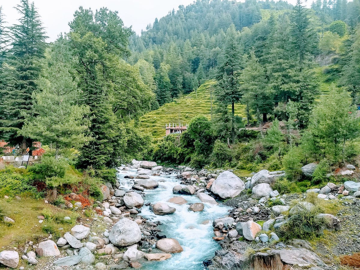 The Amazing Places You Have to Visit in Gushaini Himachal Pradesh | by ...
