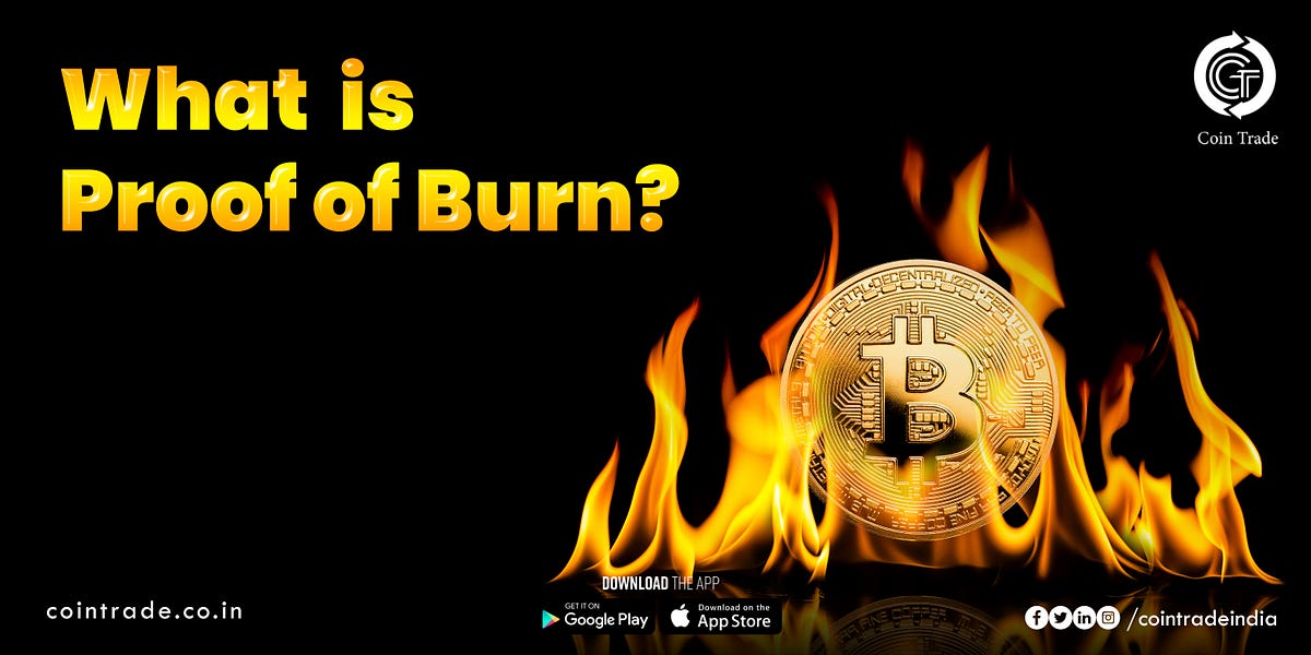 What is Proof of Burn?. The Proof of Burn algorithm looks like… | by ...