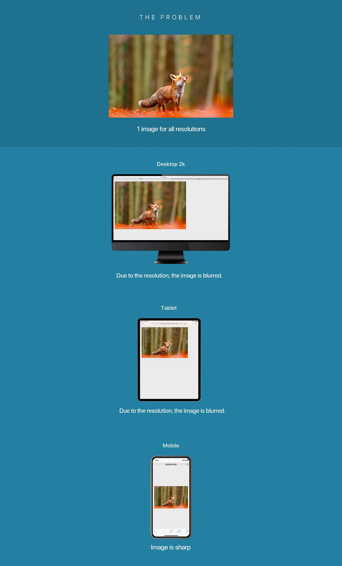 How to make images responsive. Flexible images (responsive images): an ...
