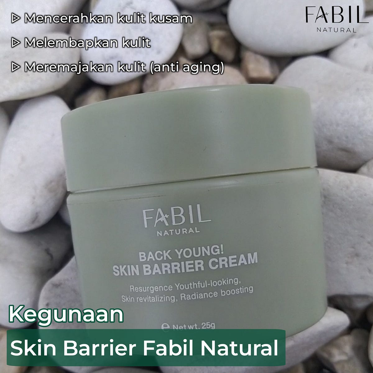 Kegunaan Skin Barrier Fabil Natural | by Tokolipcreamfabilnatural | Medium
