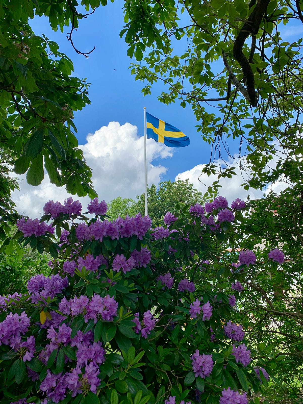 The Long Summer Days: A Swedish Summer Experience | by Katherine ...