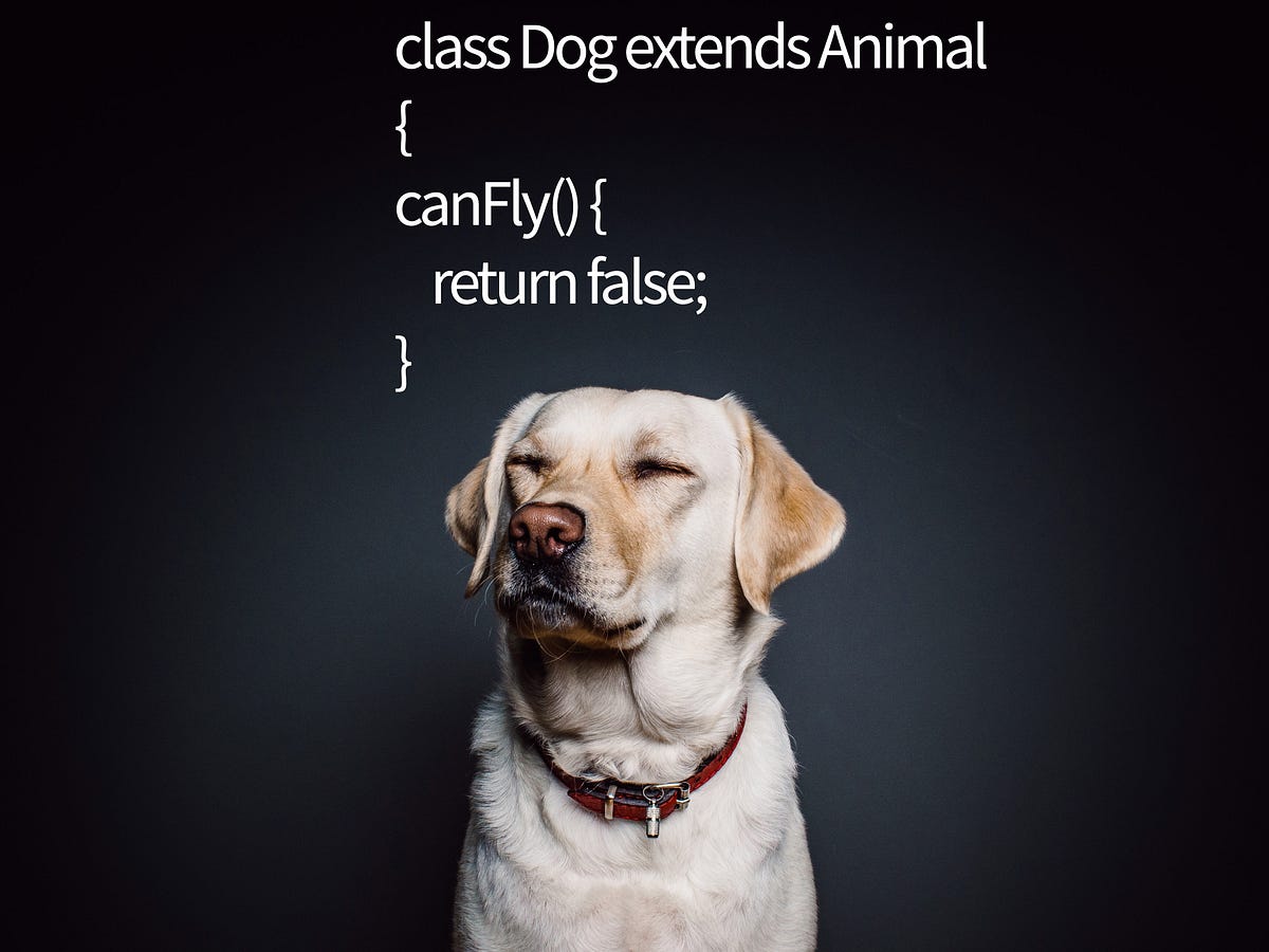 How about we reconsider using animals in our coding examples? | by ...