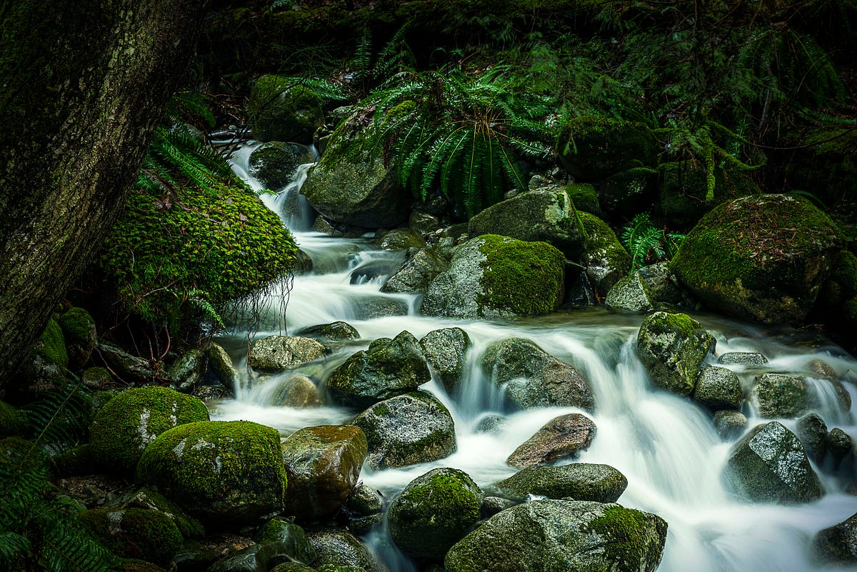 Stream of Thought and Consciousness: What’s Missing? | by Stephanie ...