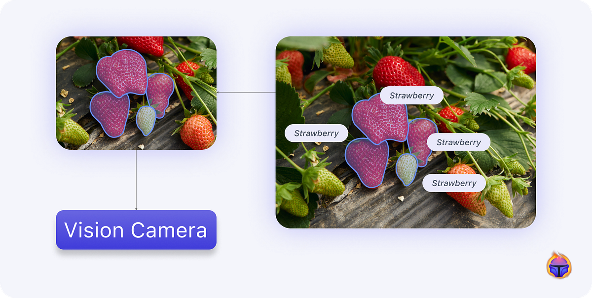 Top 4 Computer Vision Problems & Solutions in Agriculture Data — Part 2 ...