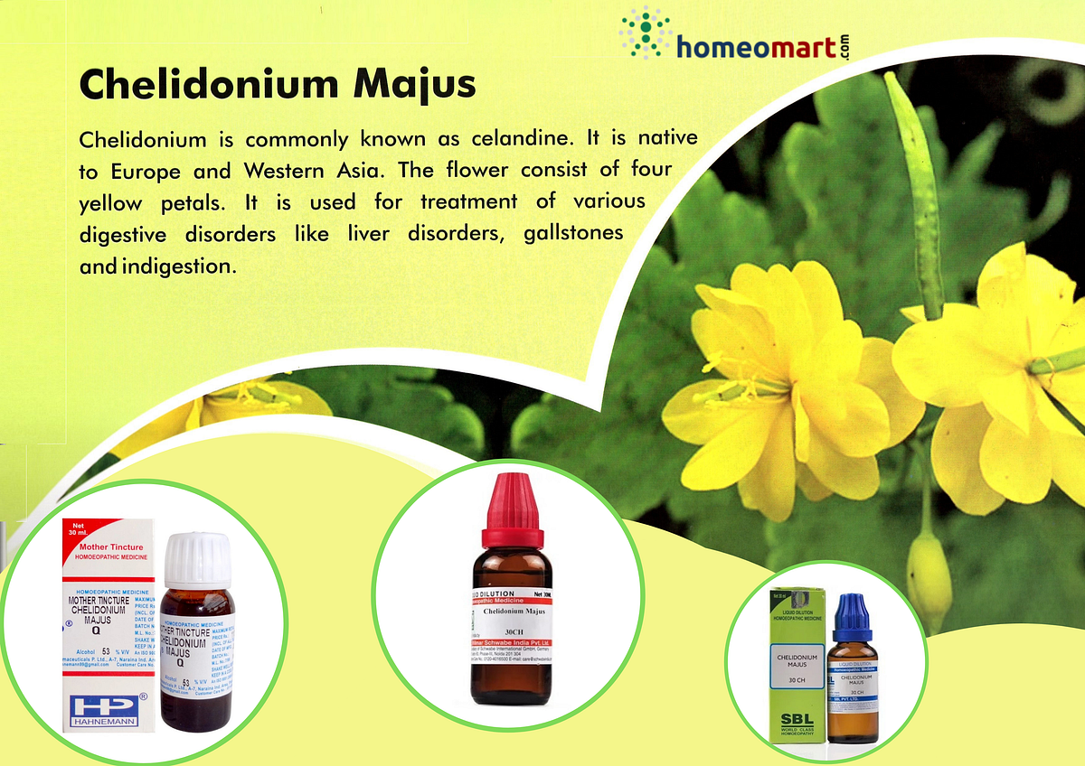 Unveiling the Healing Powers of Chelidonium Majus: A Natural Wonder for ...