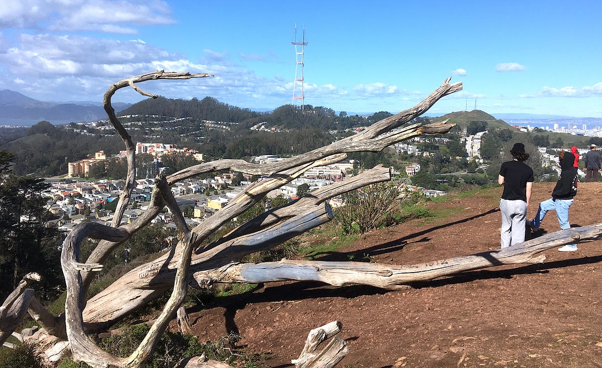 Mount Davidson Will Give You SF’s Highest View, and Edgehill Mountain ...