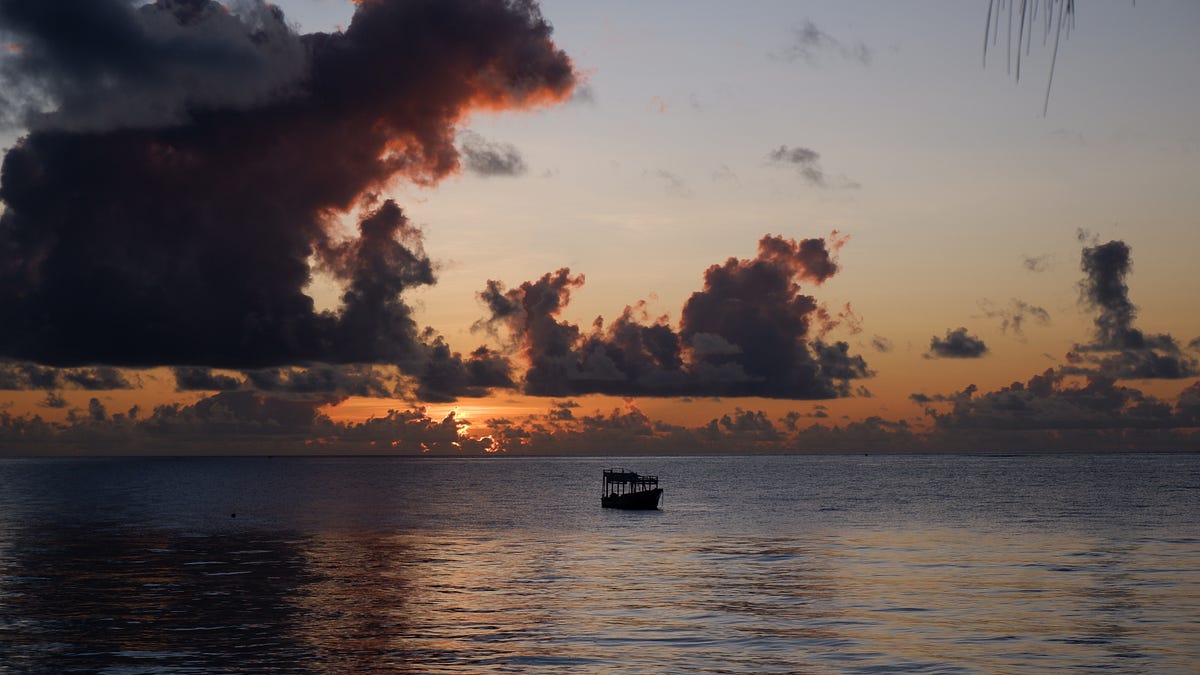 254》 - vinny - Medium