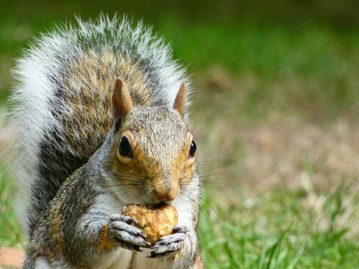 What is Success ?. Do you really have to wait till end of… | by Jay Roy | Medium