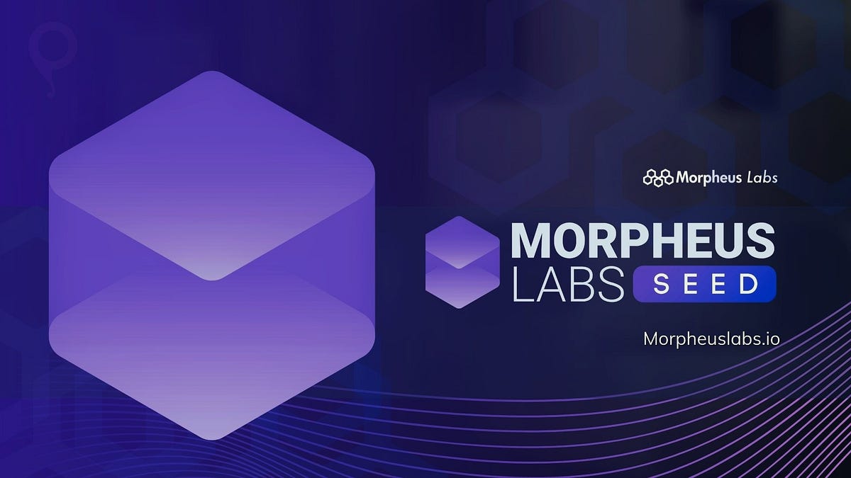 THE RELEVANCE OF ML SEEDS. Talking about Morpheus lab SEED, SEED… | by Promzyelisha | Medium