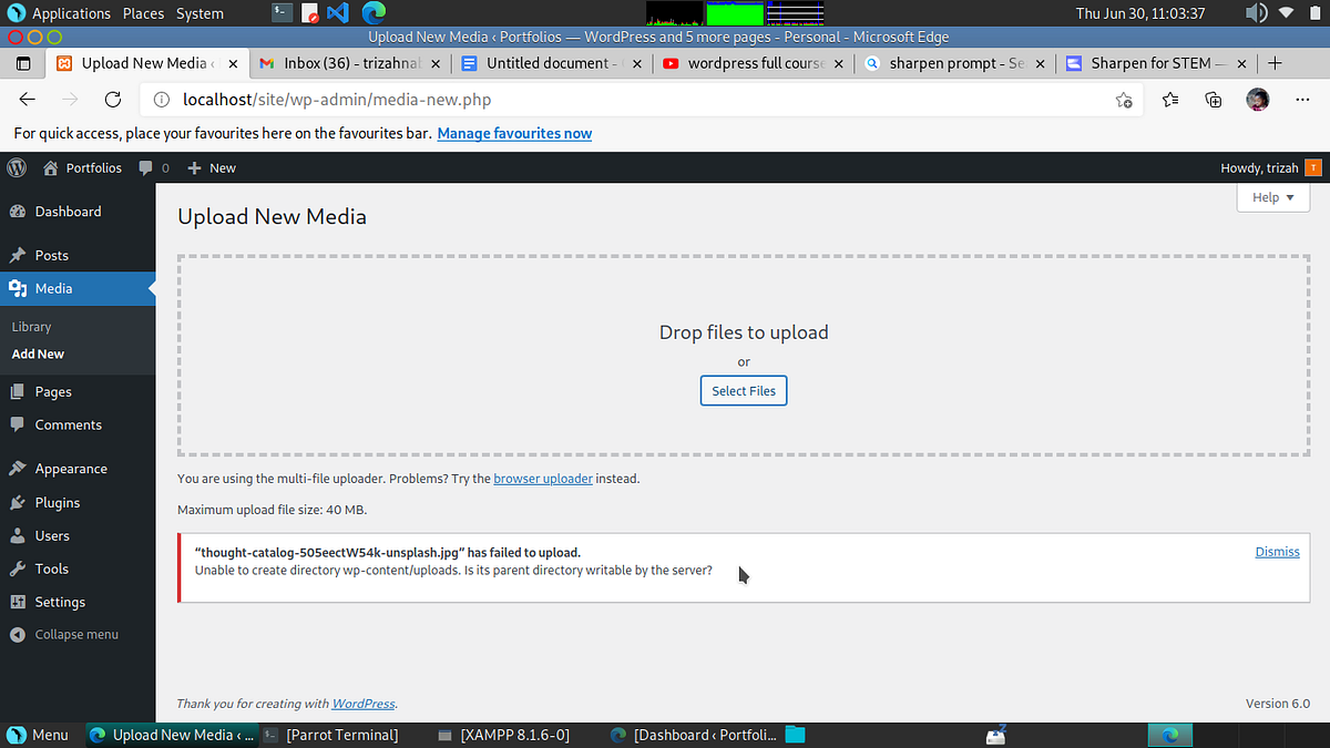 Media Errors in Wordpress - Trizahnabwire - Medium