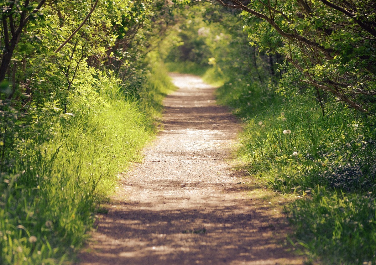 Trails and Susurrations: Why I Listen To Ambient Music When Running ...
