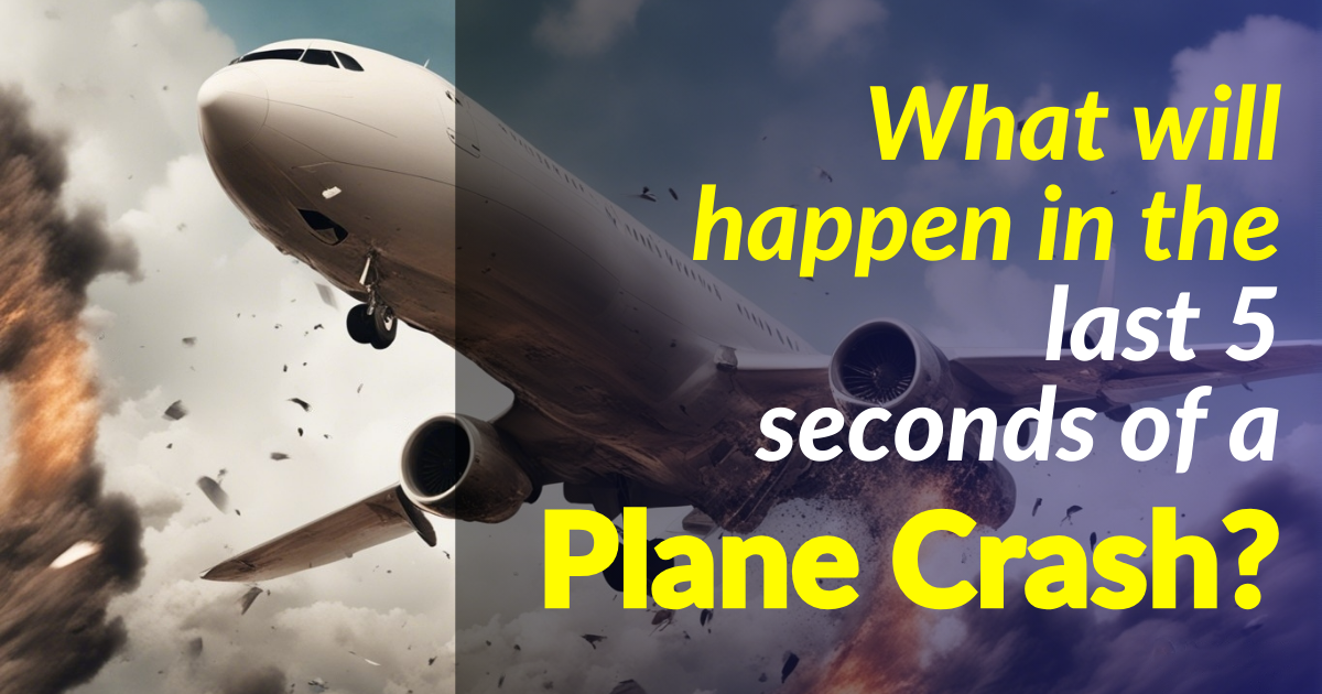 Plane Crash Survival