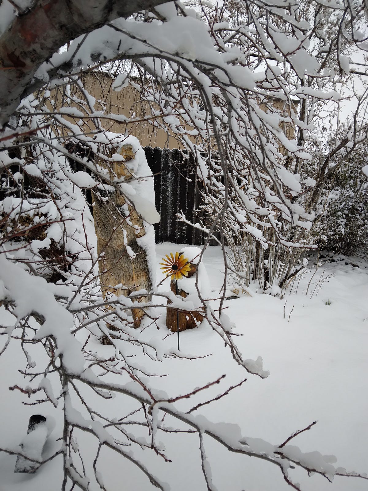 “March Miracle”. The term “Miracle March” comes from… | by Ann James ...