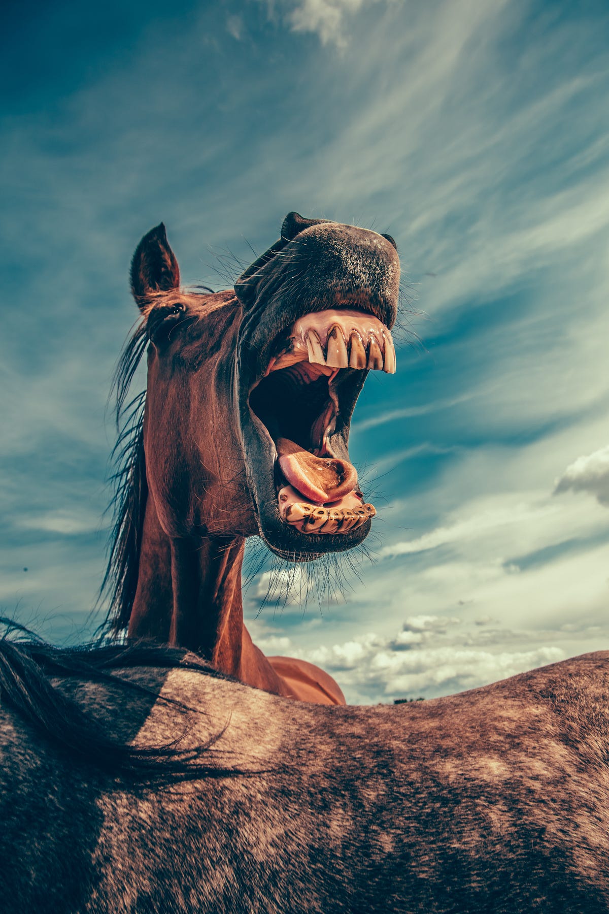 Nightmares Begone!. Imagery Rehearsal Therapy works fast… | by John ...