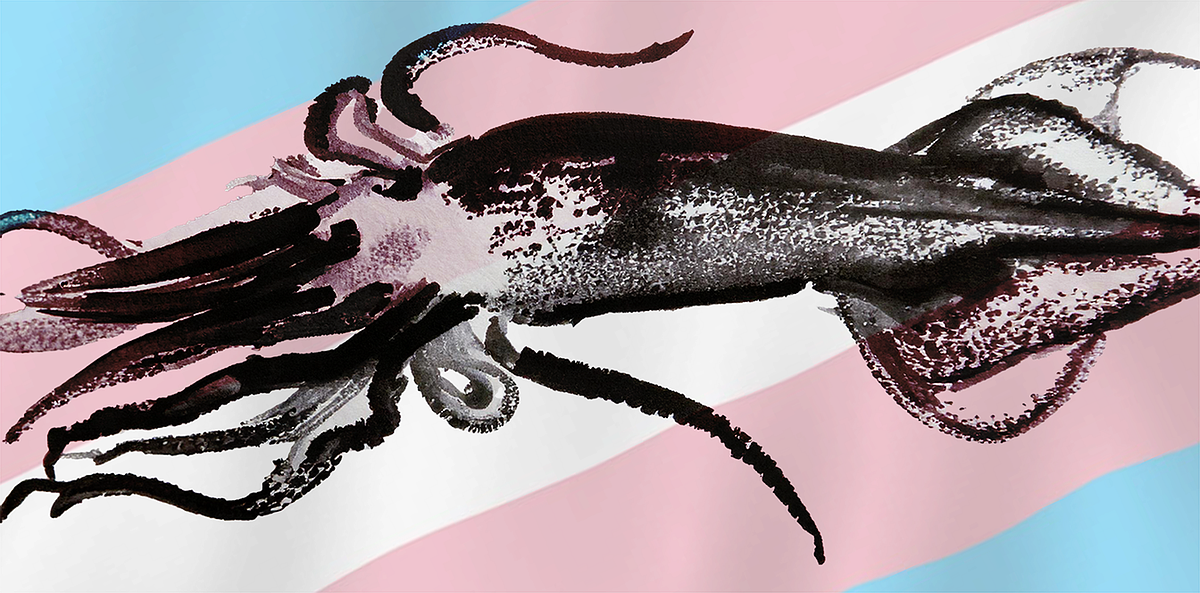 What Trans Representation Feels Like | by Adri M. | Identity Current