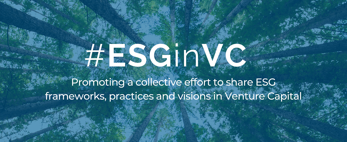 #ESGinVC: Promoting a collective effort to share ESG frameworks ...