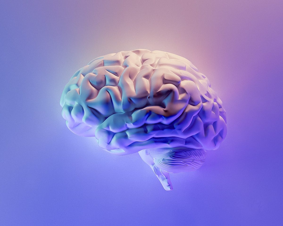 The 7 Habits of Happiness According to a Brain-Health Expert | by Alexa ...