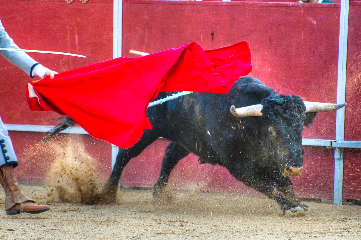 To Be Honest… It’s All A Load Of Bull… | by John Harrison | May, 2023 ...