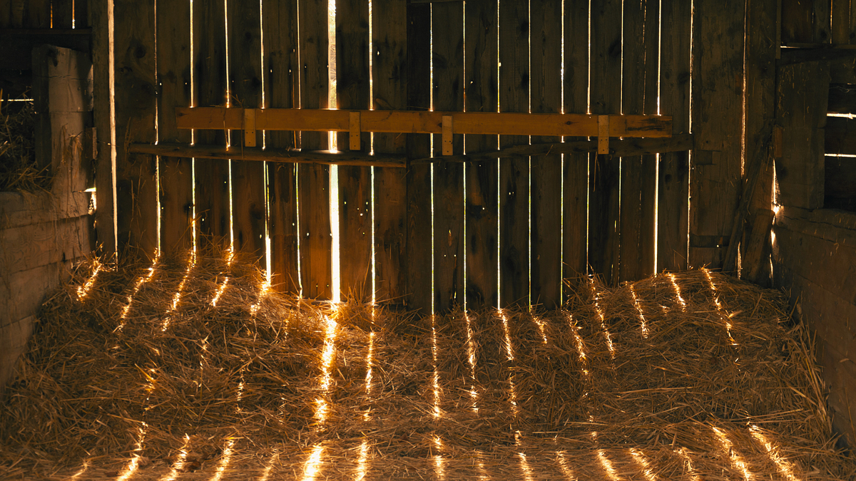 Born in a Barn - Oasis Church Birmingham - Medium