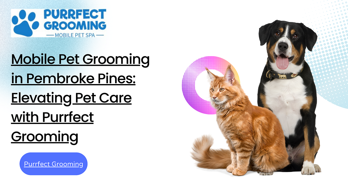 Mobile Pet Grooming in Pembroke Pines: Elevating Pet Care with Purrfect ...