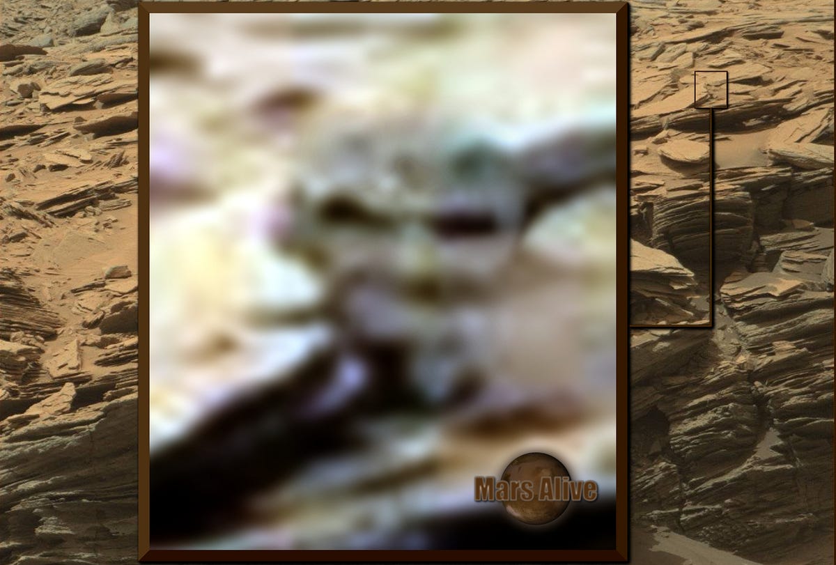 The Martian. More Proof of Life on Mars? NASA: Earth… | by MARS ALIVE ...