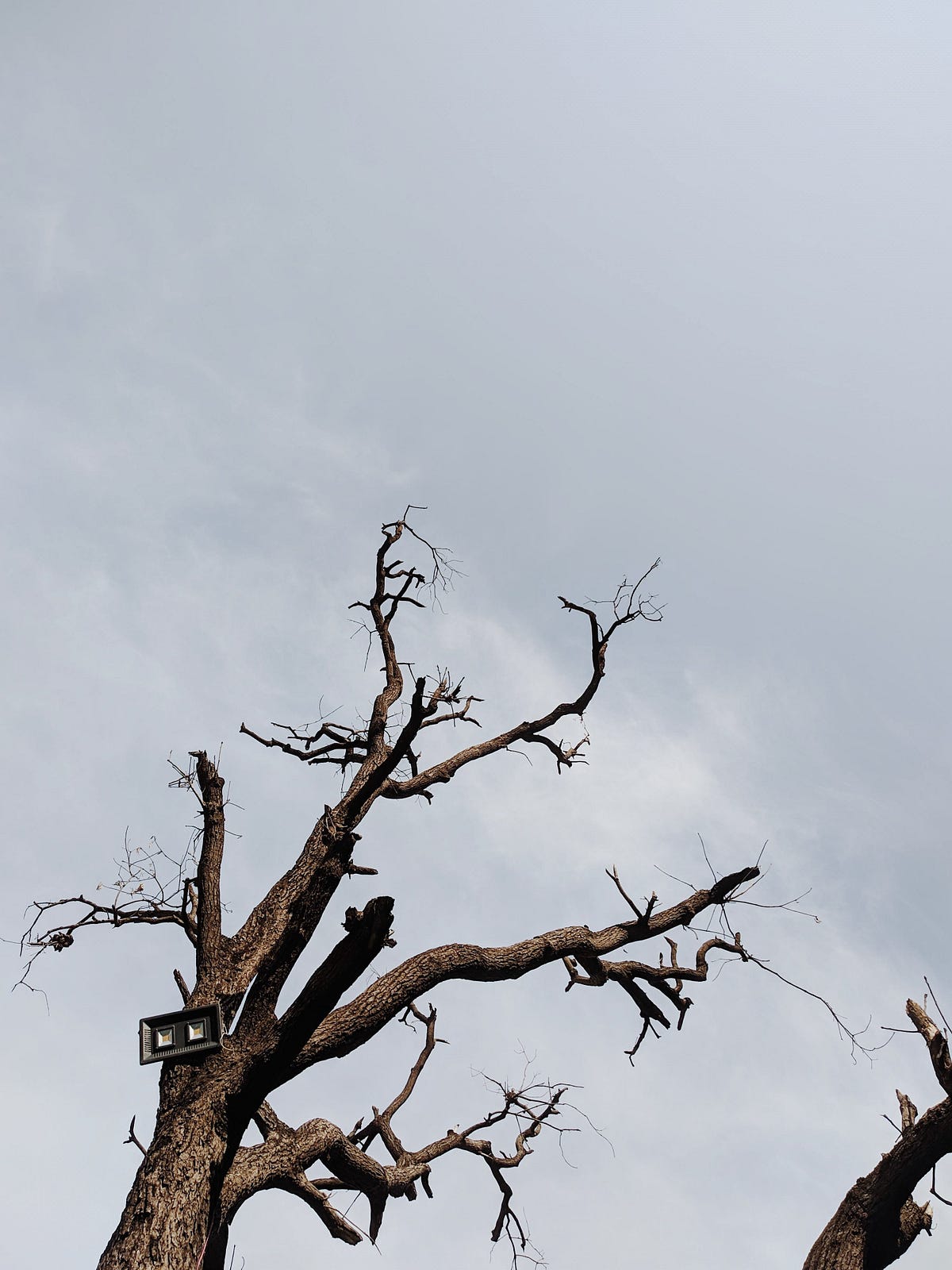 Staring at Bleakness. Is this new, or just more of the same? | by R.L ...