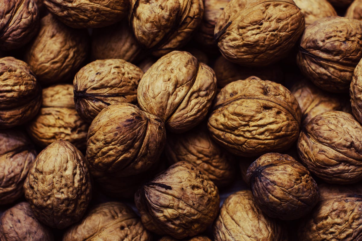 Australian Nuts. In this post, we highlight a few famous… | by Brendan ...