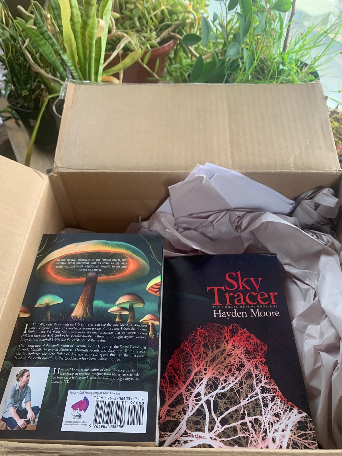 On Releasing a Debut Novel: SKY TRACER (Feb. 17 Launch) | by Hayden ...