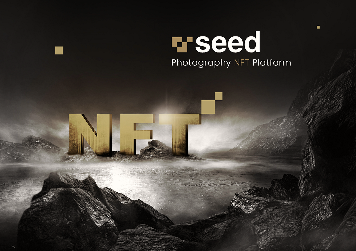 Introducing Seed.Photo’s Museum Feature: An Exciting Opportunity for ...