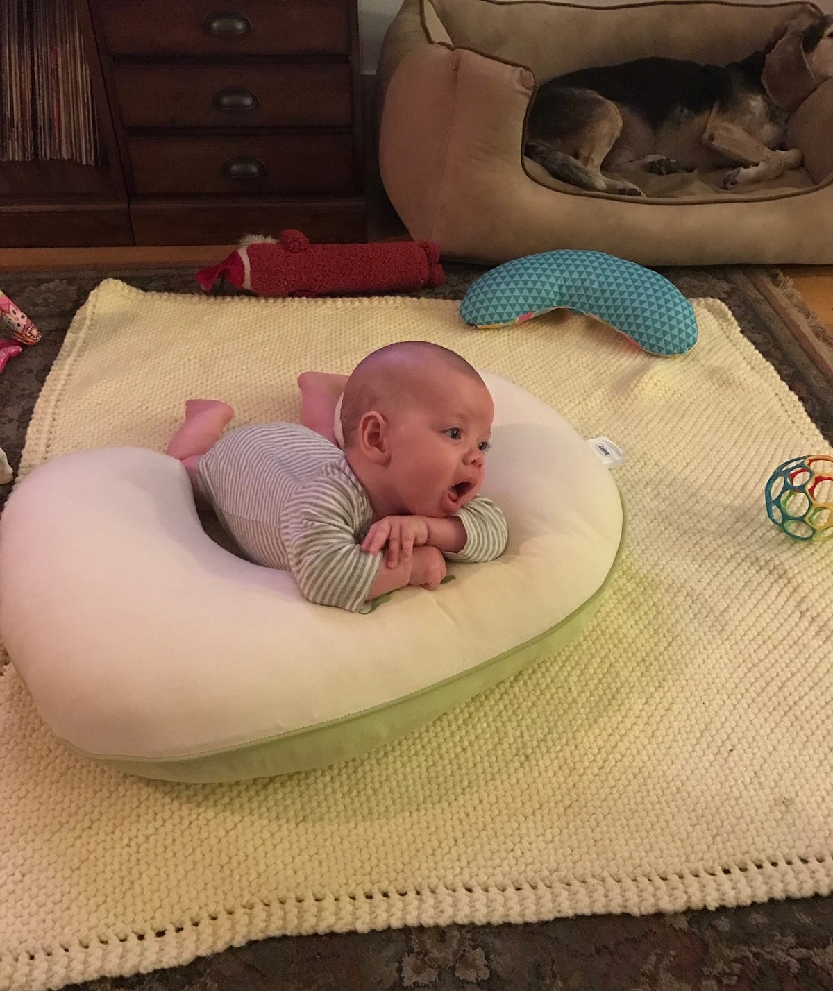 Modern Dad. Twin of the Week - Clementine: As a… | by Dean Masello | Medium