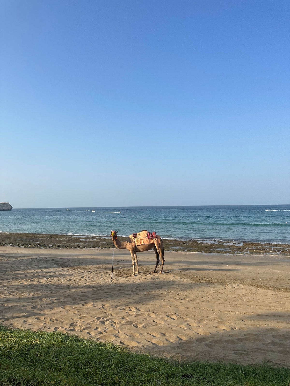 Ignoring the camel on the beach. I had a vague intention to write a ...