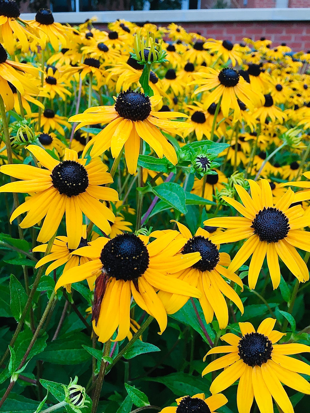 Do you know Javascript “Service Workers”? | by Pradip Nemane | Jan ...