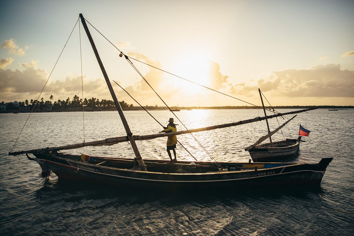 Celebrating our newest human right | by WWF Oceans | WWF -Together ...