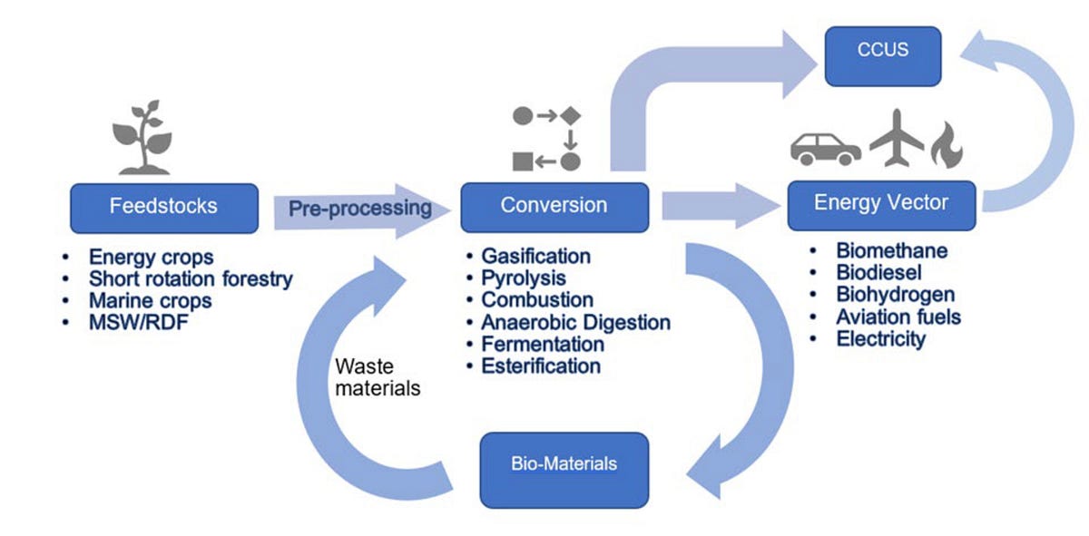 Explainer: Biomass present state in the UK’s energy strategy | by ...