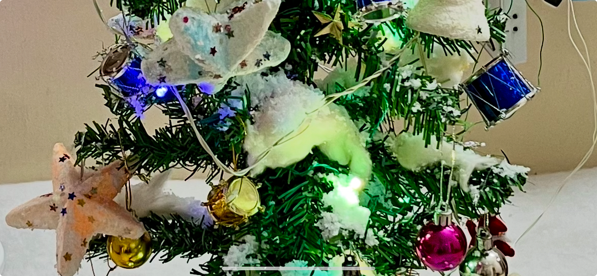 How I Changed My World. A Christmas miracle | by ASHWIN SALIAN | Aug ...