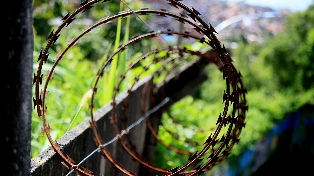 Understanding the Pricing of Fencing Wire — A Comprehensive Guide | by ...