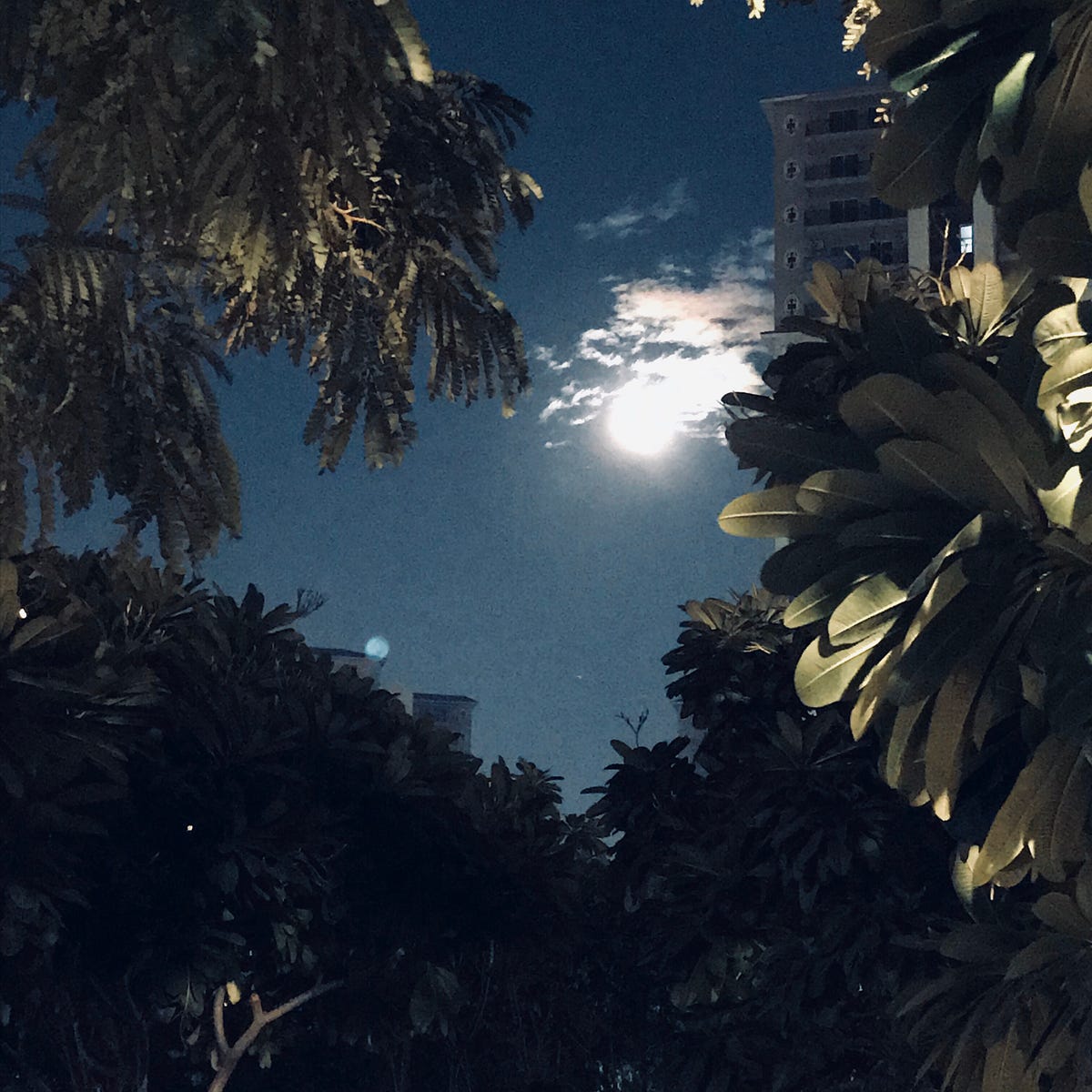 Today seems like an unusual day. A day which might bring my | by Sakshi ...