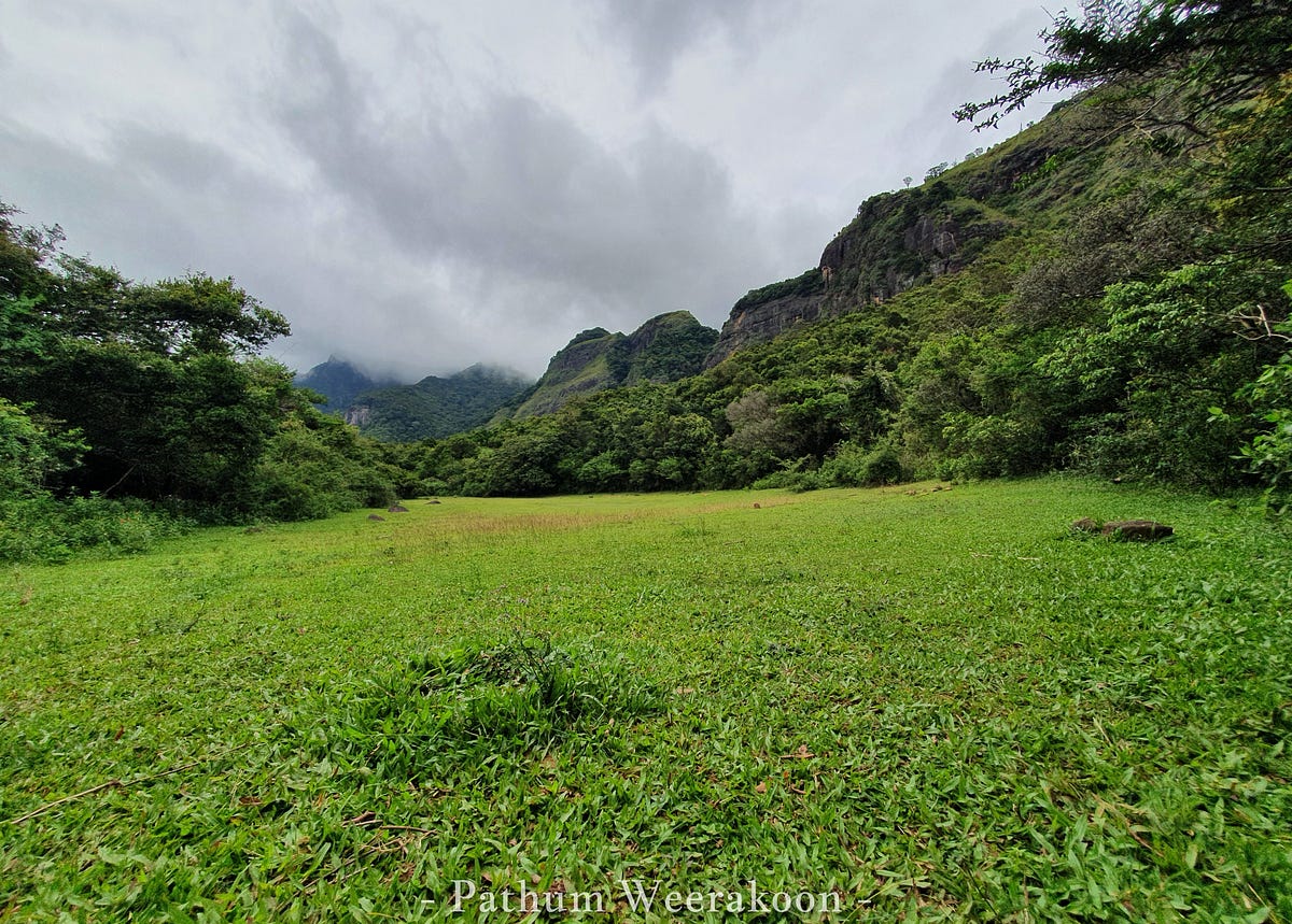 Discovering the Magic of Knuckles Mountain Range: My Trekking Journey 🧗 ...